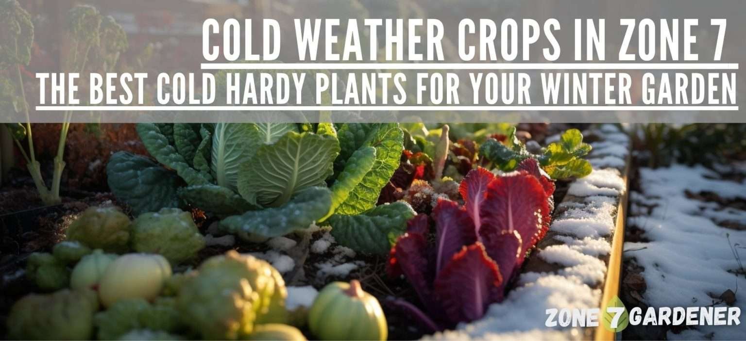 Zone 7 Gardening Guide: Mastering the USDA Hardiness Zone 7 Landscape ...